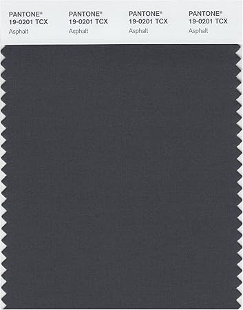 Pantone 19-0201 TCX Smart Color Swatch Card, Asphalt : 亚马逊中国: 玩具